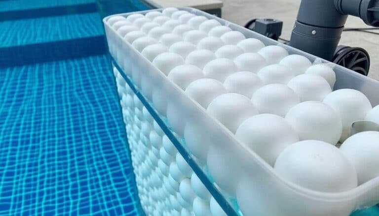 Balle Filtrante Robot Piscine Avis